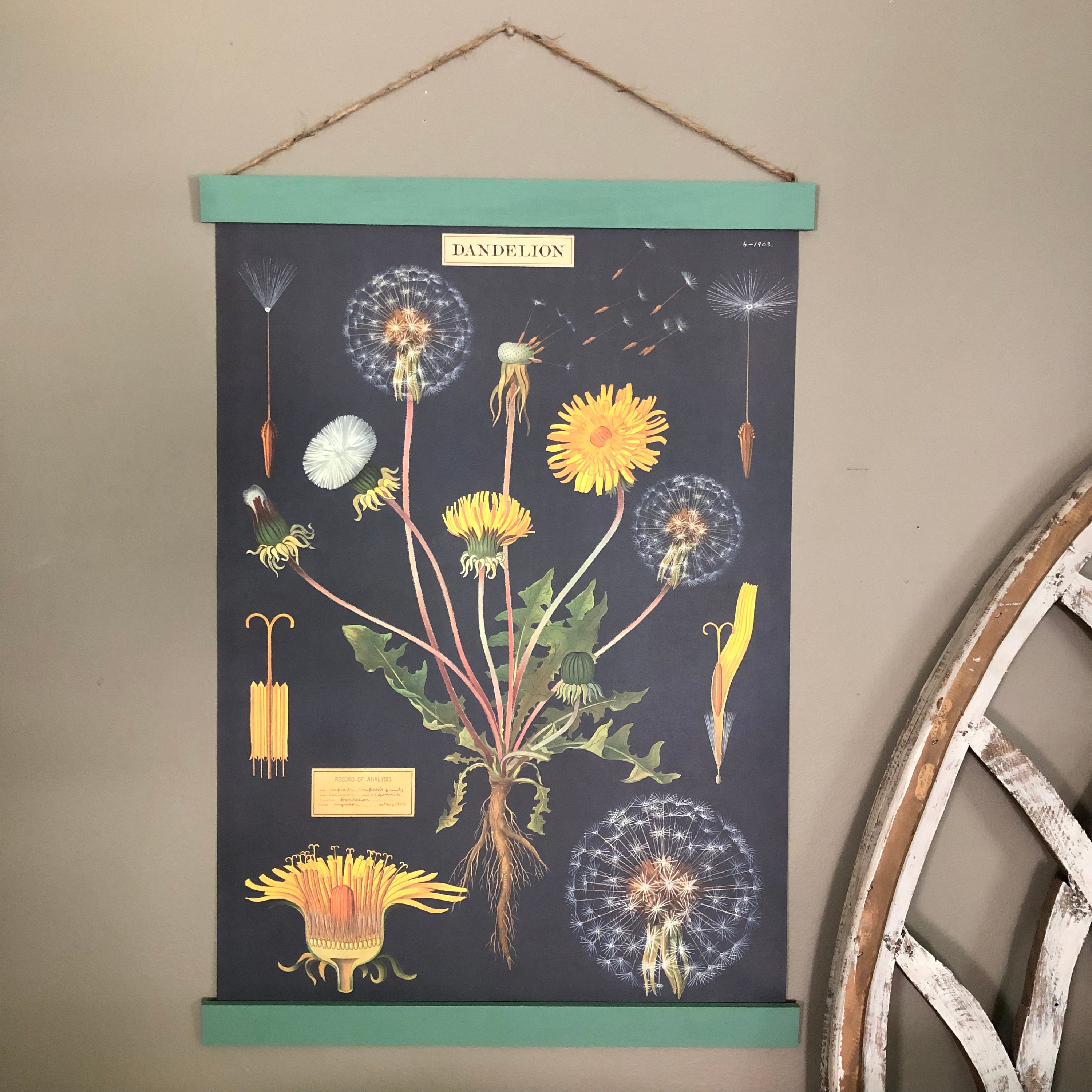 Dandelion Poster Dandelion Print Dandelion Wall Art - Etsy