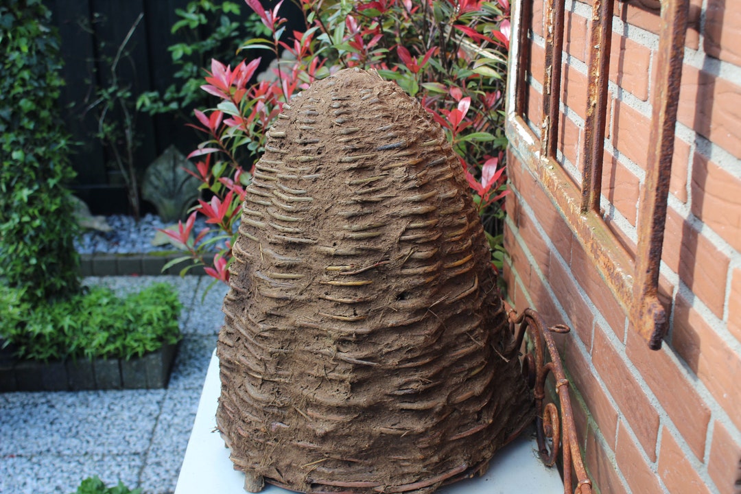 French Beehive/vintage Beekeeper/antique Bee Comb/honey Basket - Etsy