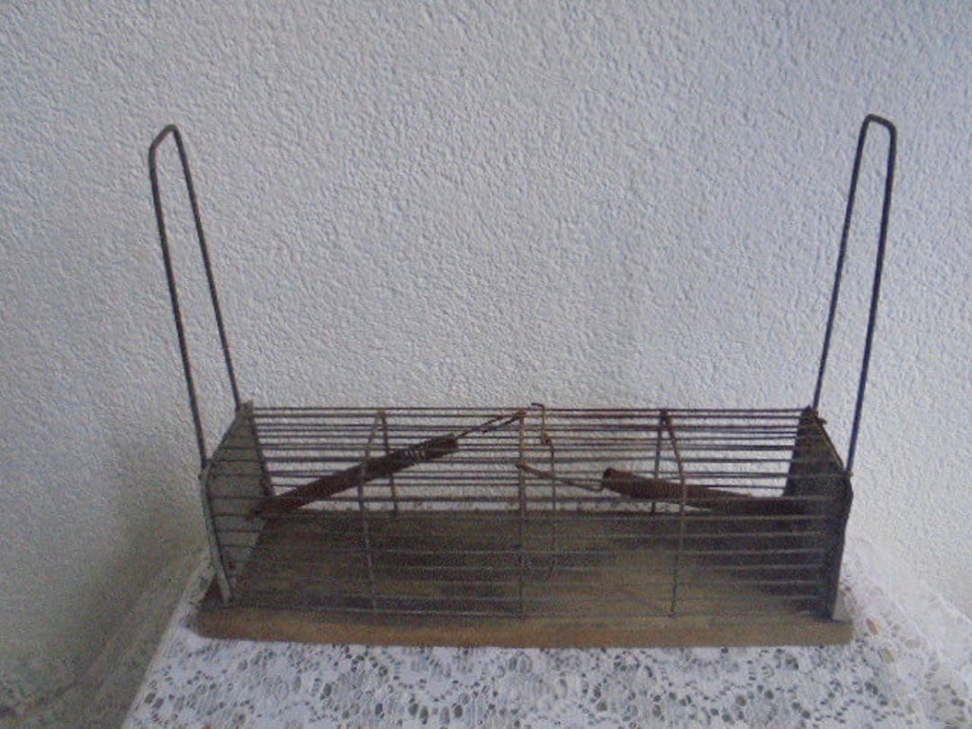 French Mouse Trap/antique Rat Trap/primitive Wire Metal Trap From Circa ...