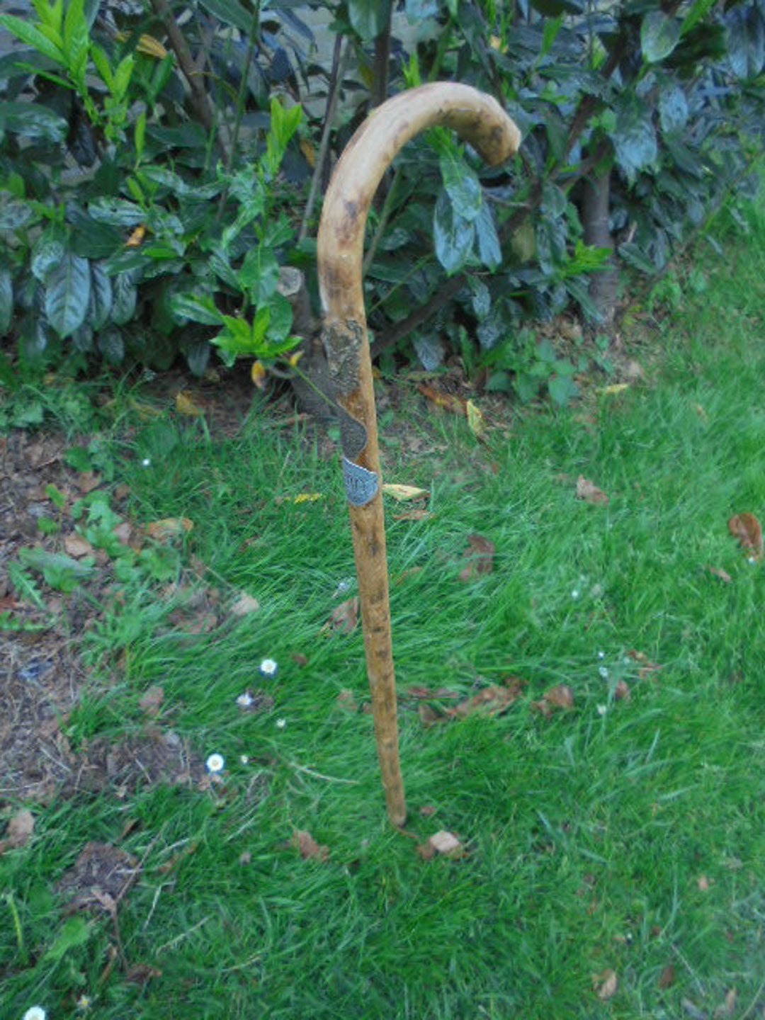 Primitive Vintage Walking Stick With 10 Souvenir Emblems/badges From ...