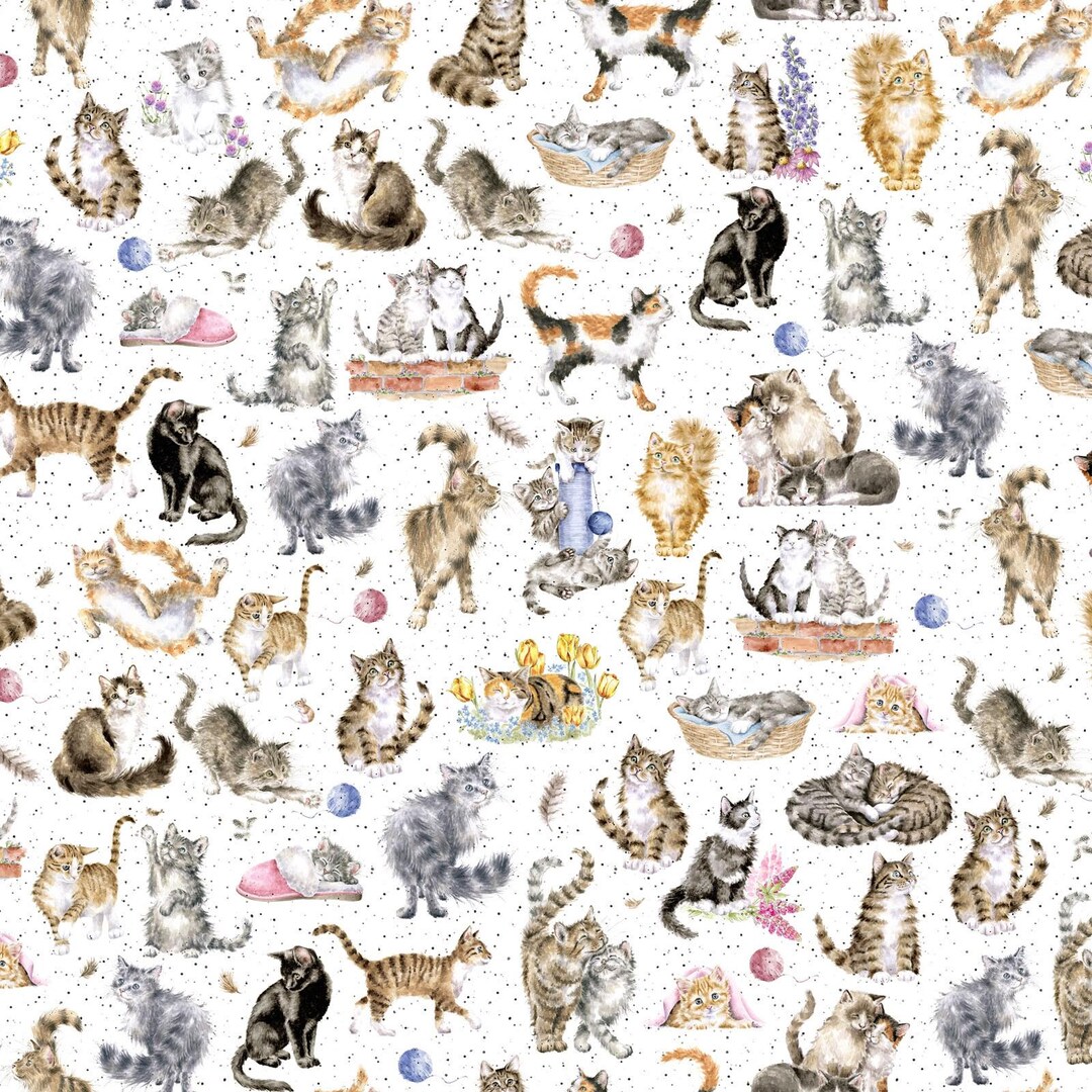 CAT BREEDS Playful KITTIES Cotton Fabric, Maywood Studio Fabric ...
