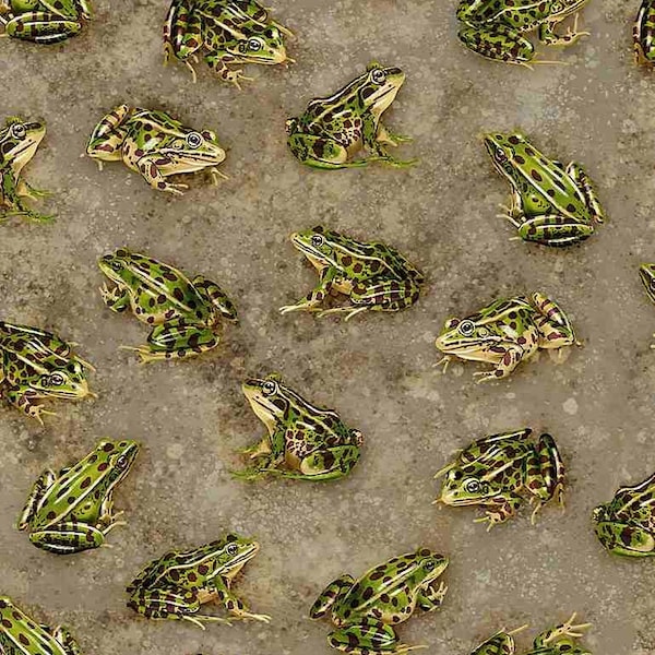 Frogs Fabric - Etsy