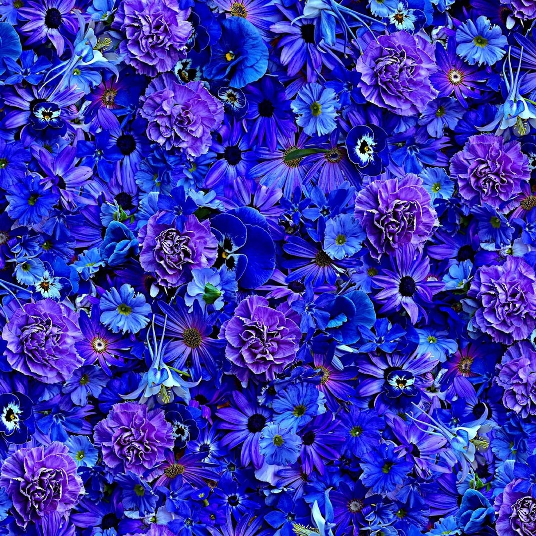 PACKED PURPLE FLOWERS Cotton Fabric, Maywood Studio Fabric, Floral ...