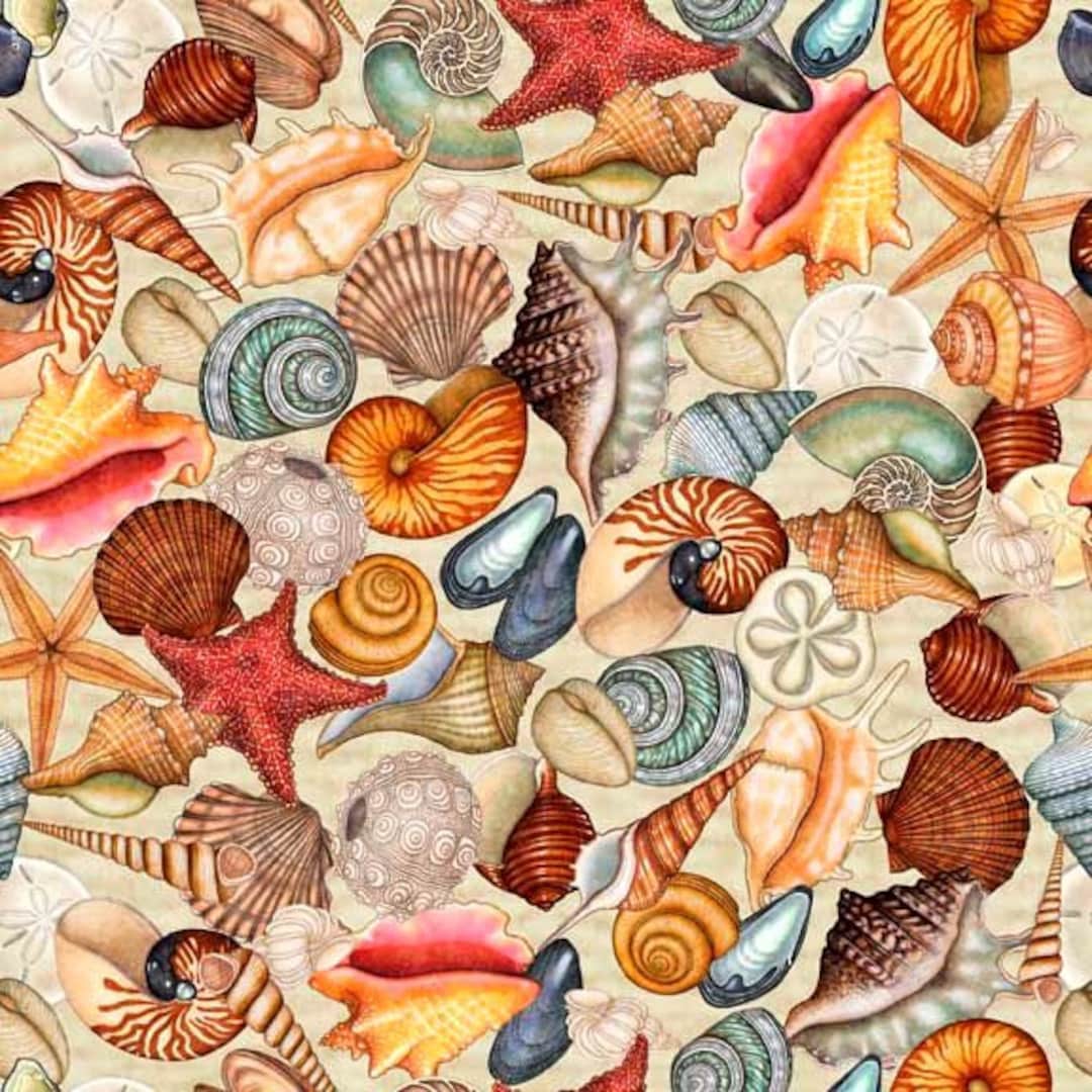 PACKED SEASHELLS on BEACH Cotton Fabric, Qt Fabrics, Quilting Treasures ...
