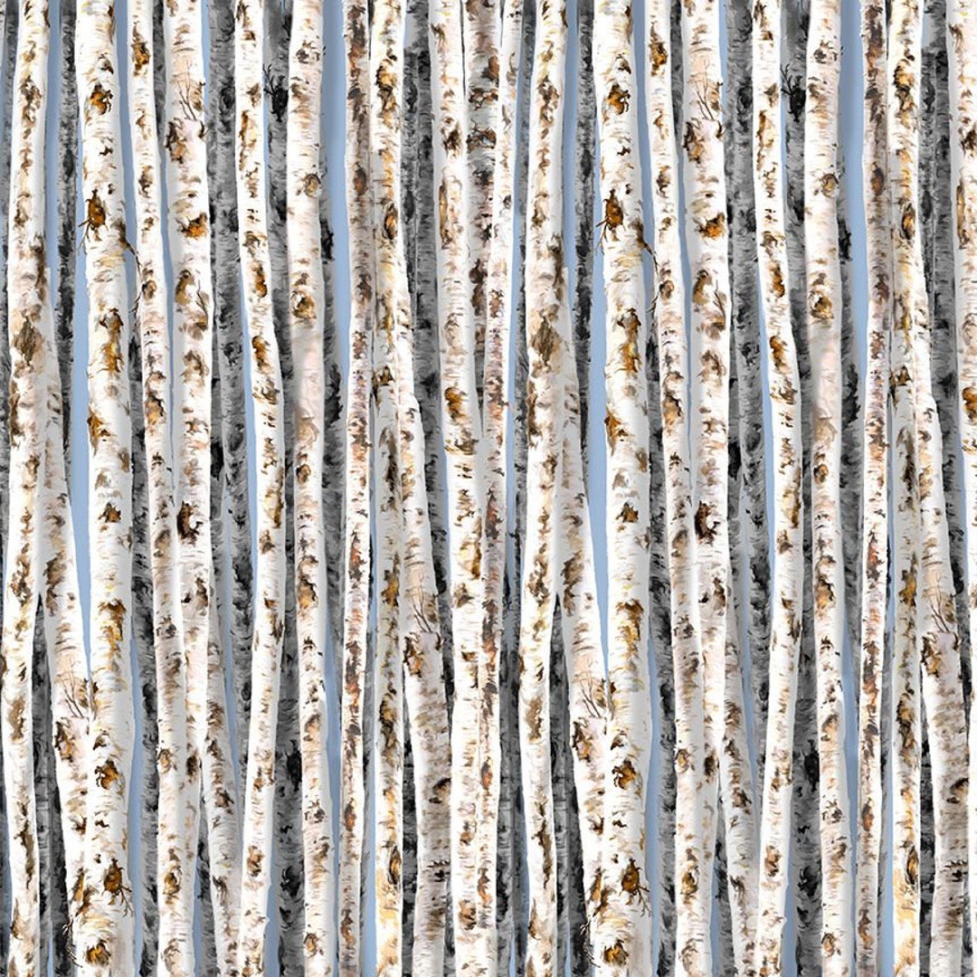 BIRCH TREE FOREST Cotton Fabric, Timeless Treasures Fabric, 100% Cotton ...