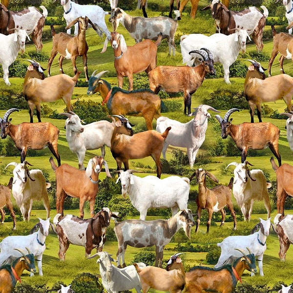 Goat Fabric - Etsy