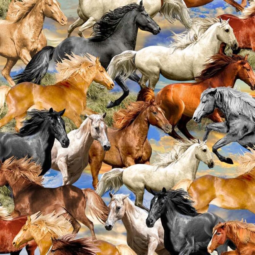 WILD HORSES RUNNING Cotton Fabric, Michael Miller Fabric, 100% Cotton ...