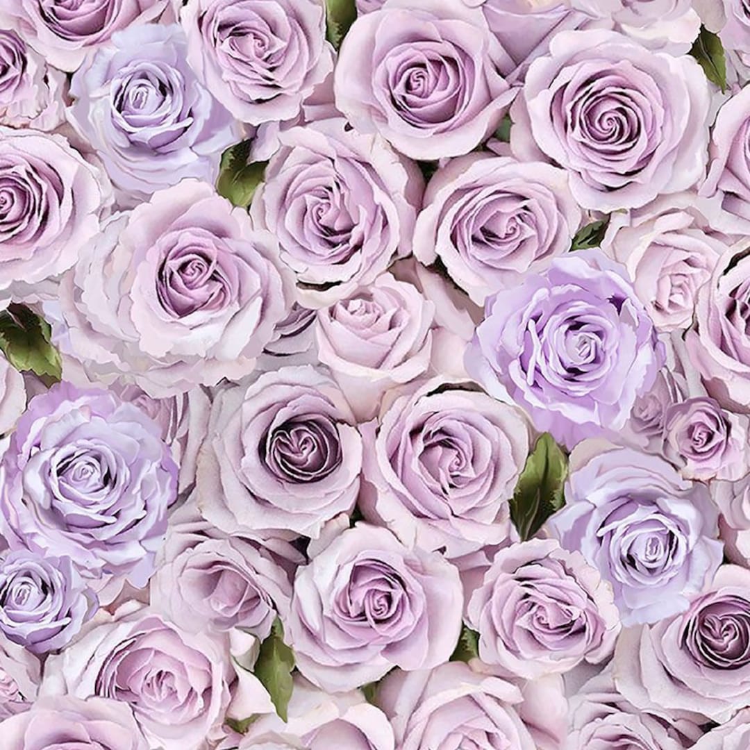 PURPLE ROSES PACKED Cotton Fabric, Timeless Treasures Fabric, Quilting ...
