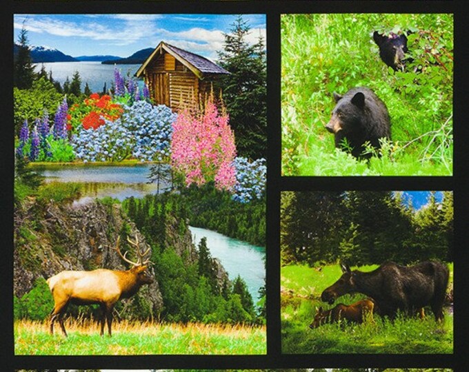 WILDLIFE ANIMALS in BLOCKS Cotton Fabric Panel 23 X 44, Robert Kaufman ...