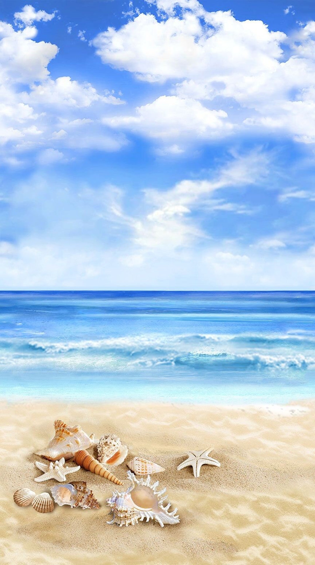 SEASHELLS AT BEACH Cotton Fabric Panel 23 X 44, Timeless Treasures ...