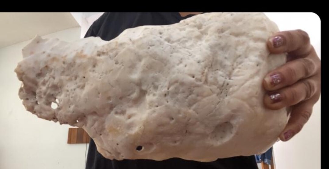 RARE: GIGA PEARL World's Largest Giant Natural Rarest & Most Expensive ...