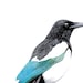 A4 Ink & Watercolour Signed Print of a Magpie. Art Illustration Print ...