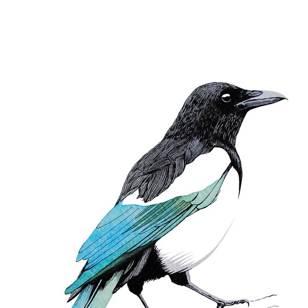 Magpie Art - Etsy