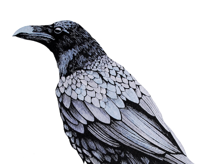 A4 Ink & Watercolour Signed Print of a Crow. Art Illustration - Etsy