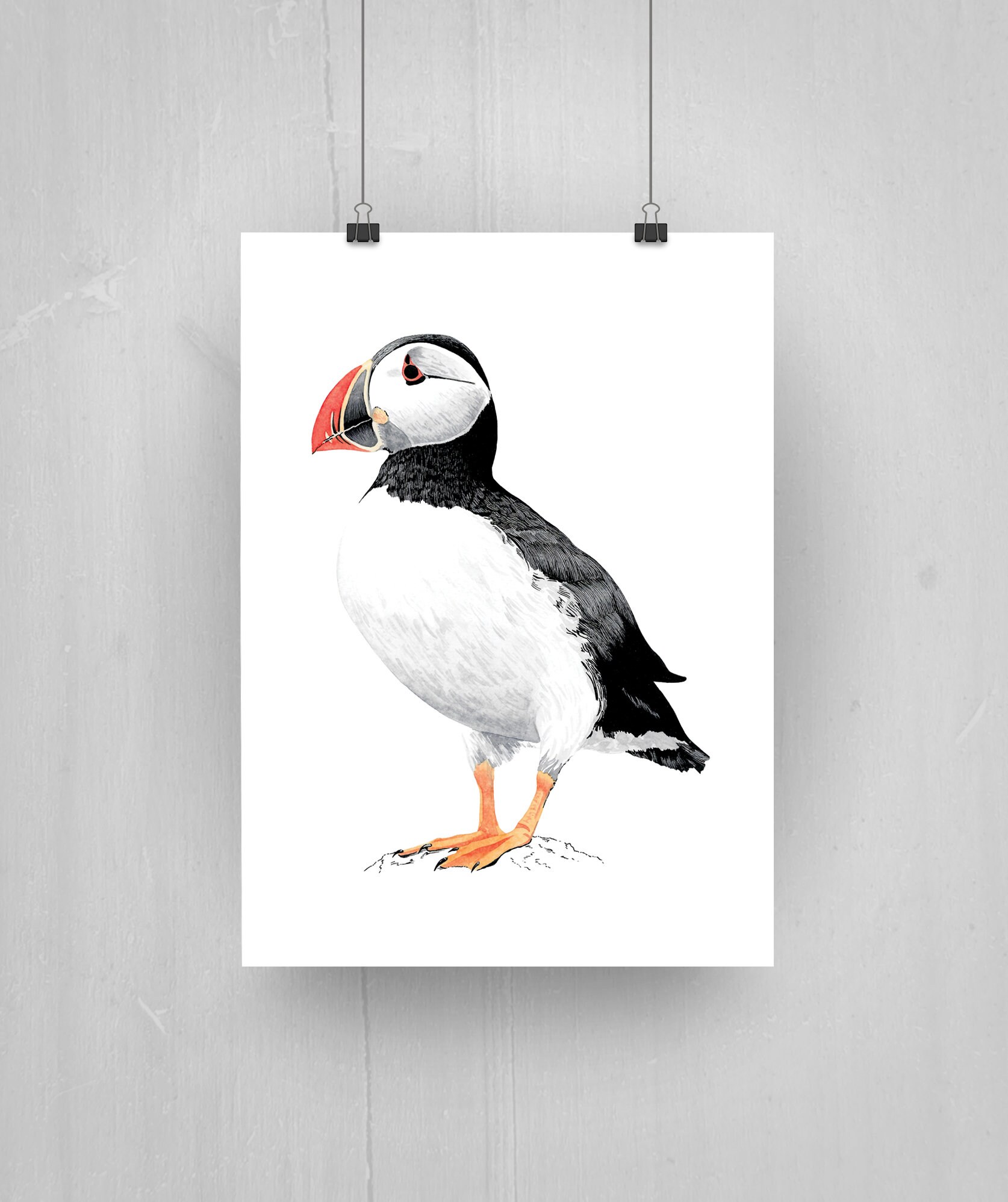 A4 Ink & Watercolour Signed Print of a Puffin. Art Illustration Print ...