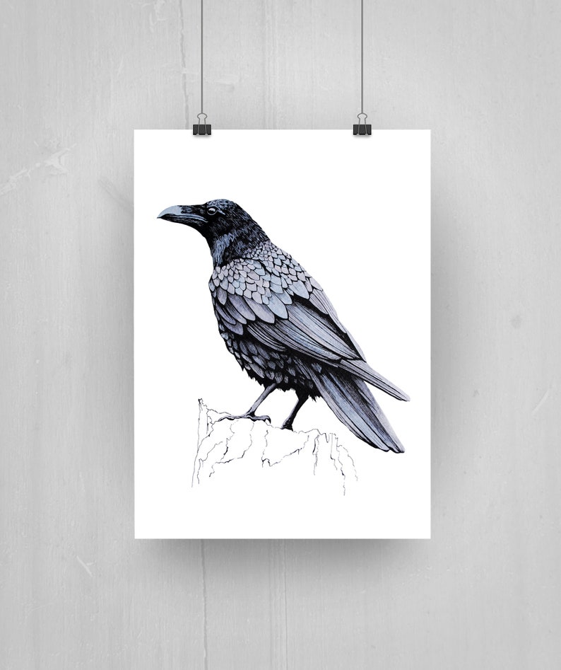 A4 Ink & Watercolour Signed Print of a Crow. Art Illustration Print ...