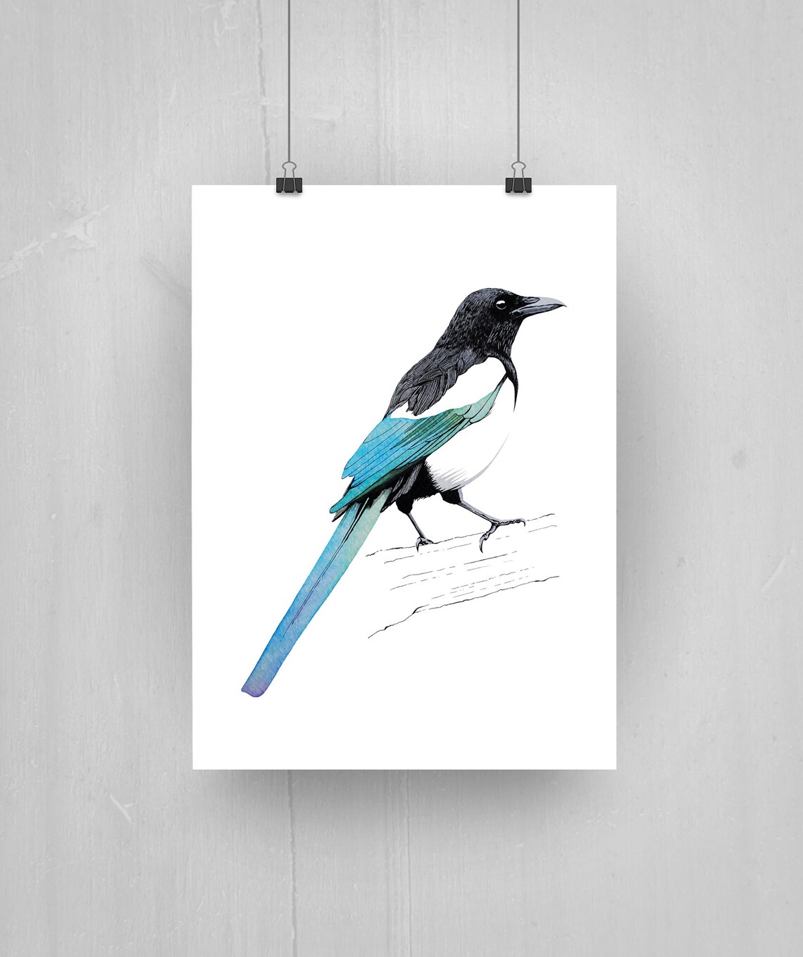 A4 Ink & Watercolour Signed Print of a Magpie. Art Illustration Print ...