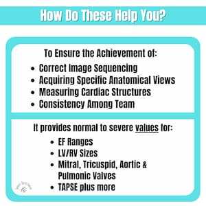 Echo Protocol PDF, Cardiac Sonographer Measurements, Quick Reference ...