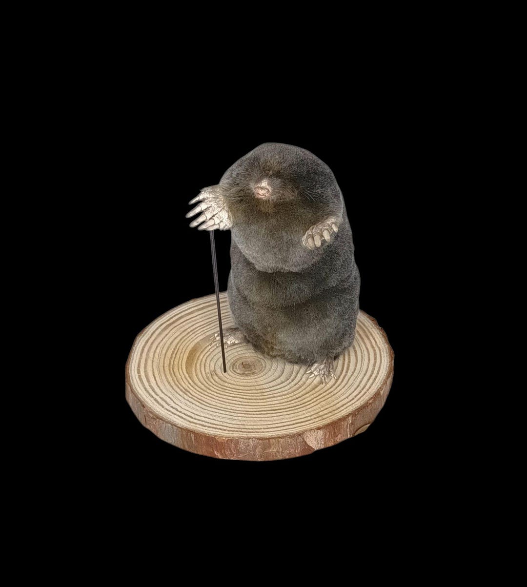 Taxidermy Mole With Walking Stick (talpidae). Log No 121. H 12cm ...