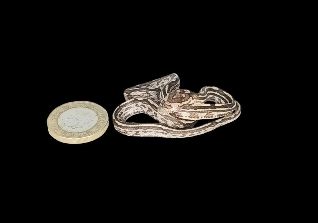 RESERVED FOR Anja Until 26th June 2025. Please Do Not Purchase ...