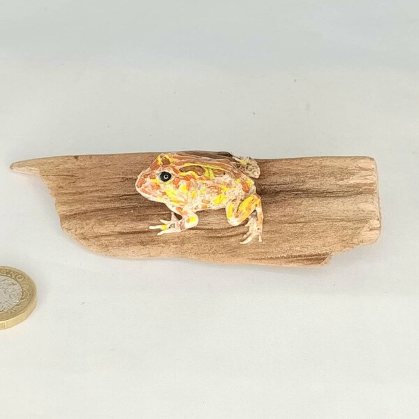 Frog on a Log - Etsy