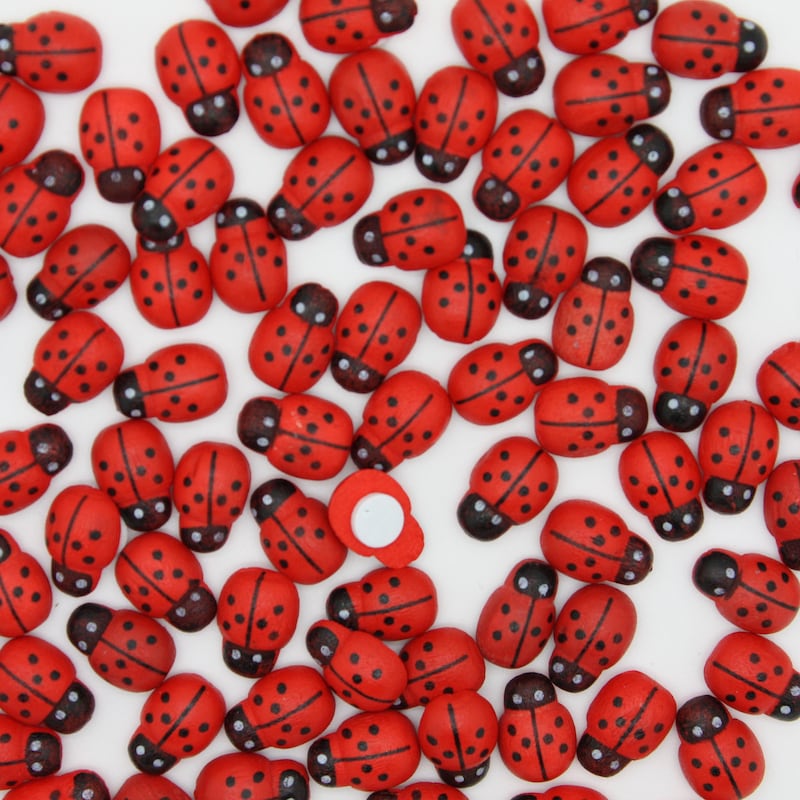 Ladybird Decorations - Etsy UK
