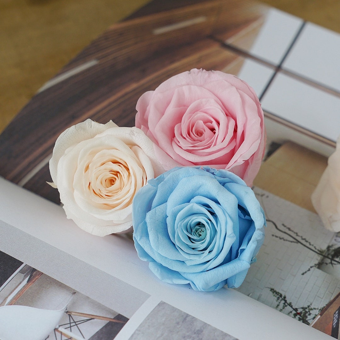 L 4-5cm1.57in-1.96in Colorful Dried Flower Real Preserved Flower Rose ...