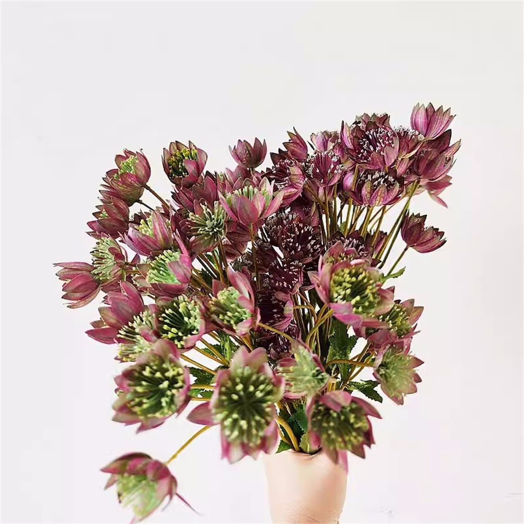 Artificial Star Celery, Single Branch, Dotted Dlowers Art, Classical ...