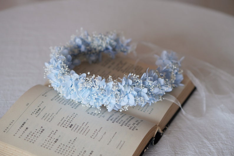 Yours🌹 - Chapter 1 - LadyNameless - Sonic the Hedgehog - All Media ...