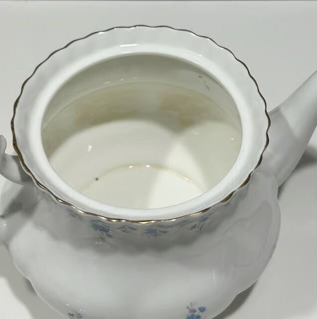 Vintage Royal Albert Memory Lane China Teapot & Teacups Set - Etsy