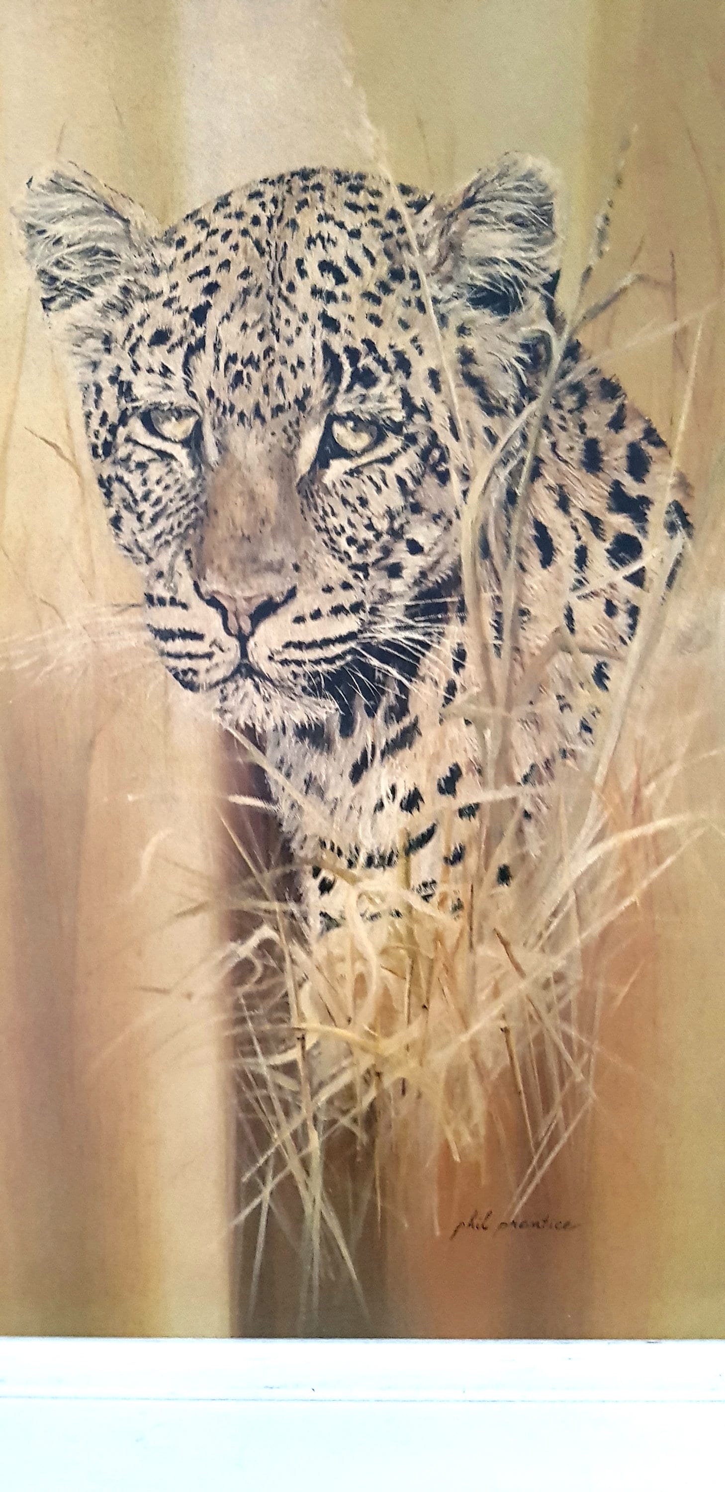 Midcentury Modern Leopard Art Print, Phil Prentice Art, 60s Retro ...