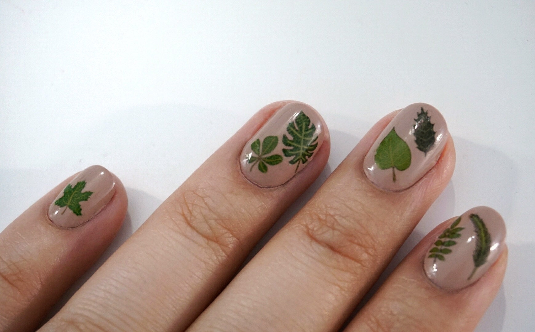 Leaves and Greenery Waterslide Nail Decals - Etsy