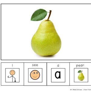 Easy Reader Fruit Edition - Etsy