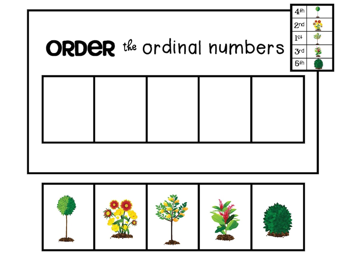 Order the Ordinal Numbers Adapted Book 1st-5th - Etsy