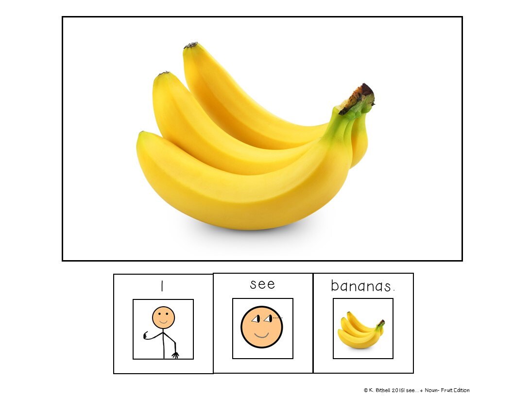 Easy Reader Fruit Edition - Etsy