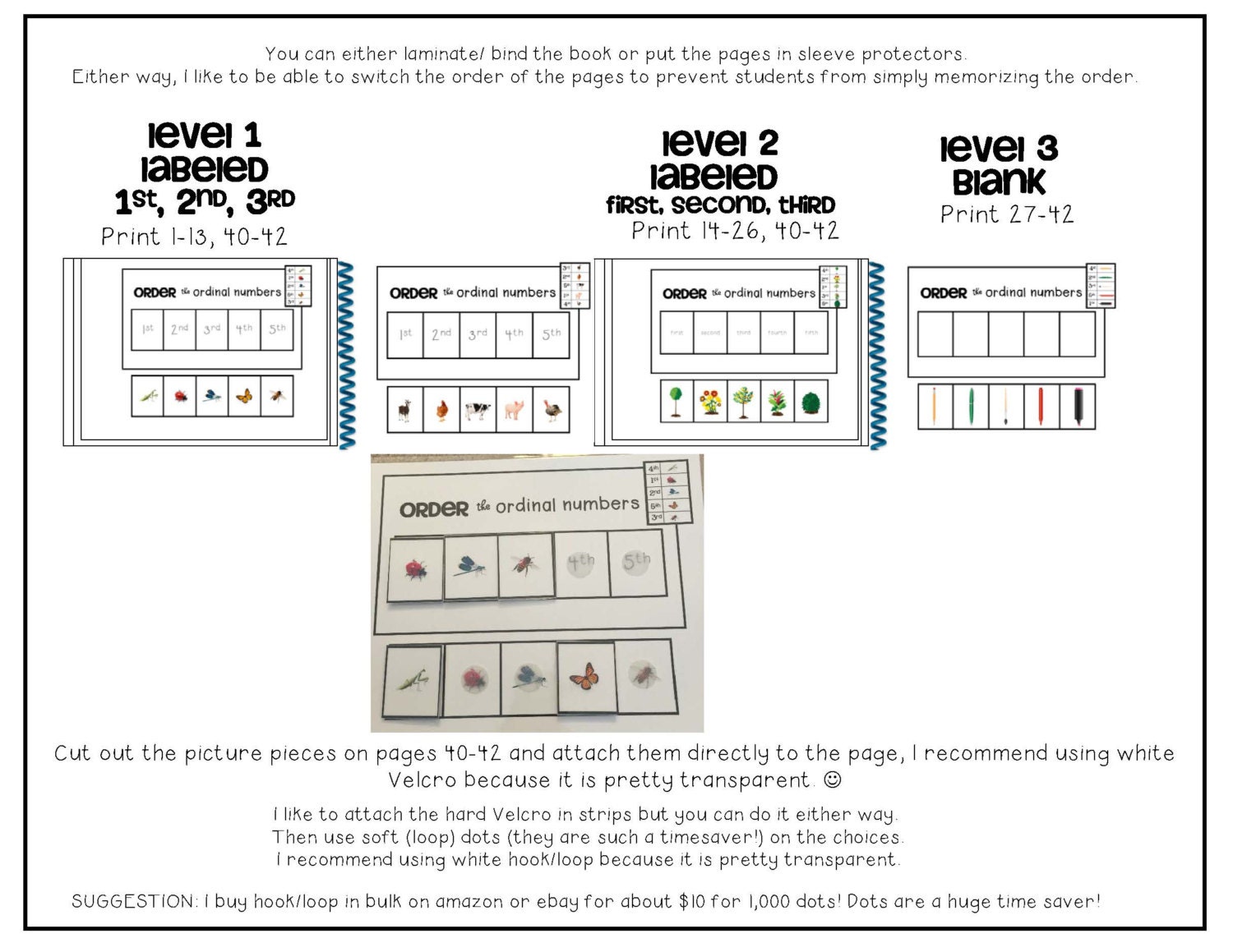 Order the Ordinal Numbers Adapted Book 1st-5th - Etsy