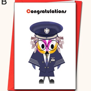 Pilot, Aircraft Pilot, Co-pilot, First Officer, Captain, Card ...