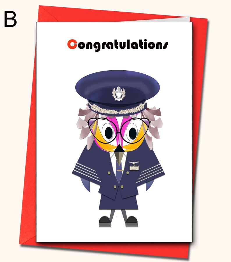 Pilot, Aircraft Pilot, Co-pilot, First Officer, Captain, Card ...