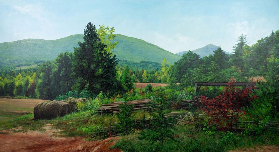 Ben Berns 'spots Fields' Oil on Canvas Painting - Etsy