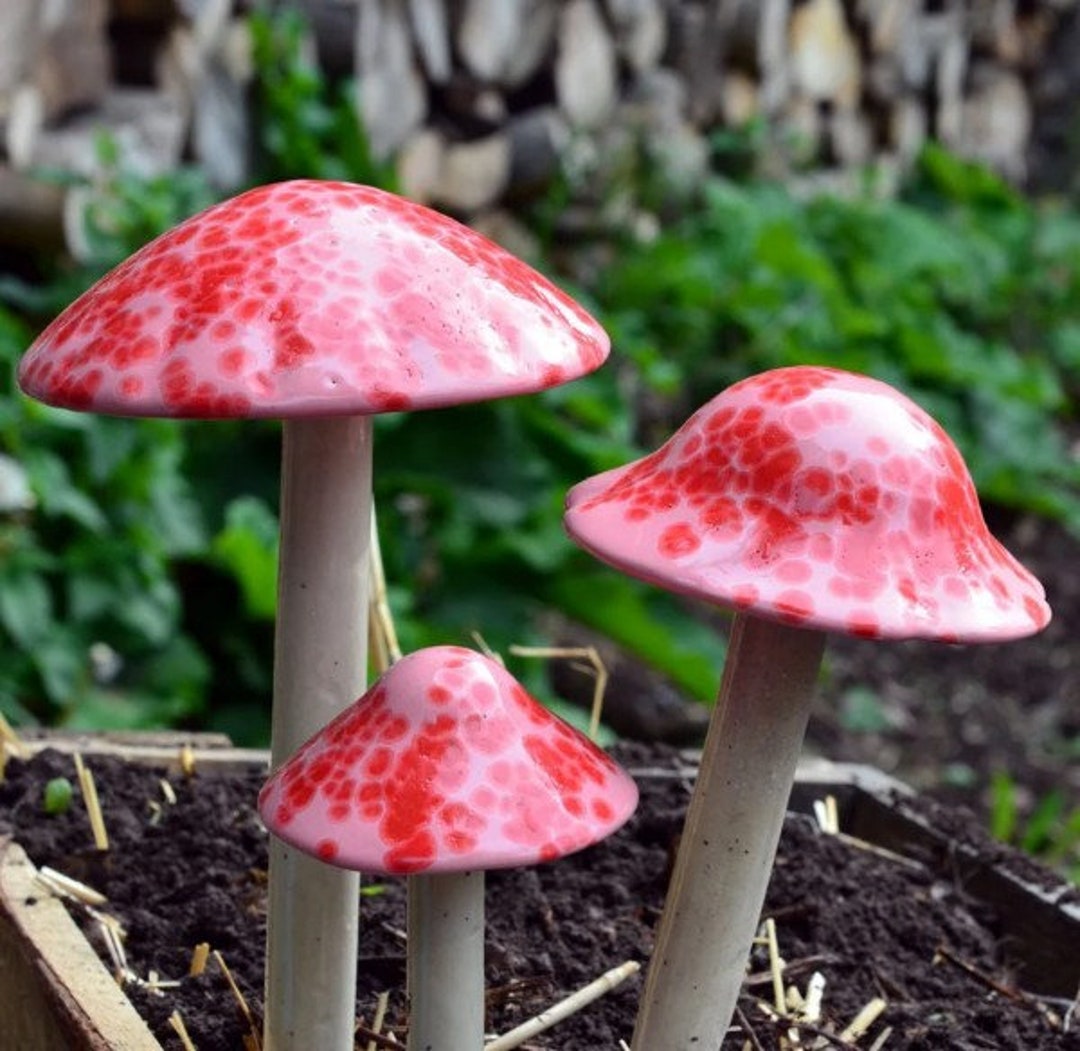 Garden Mushrooms "pink/red" - Etsy