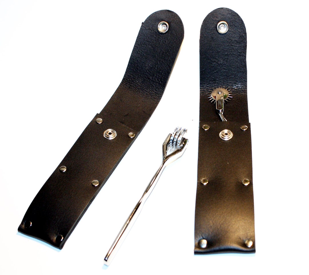 Pinwheel With Case - Etsy