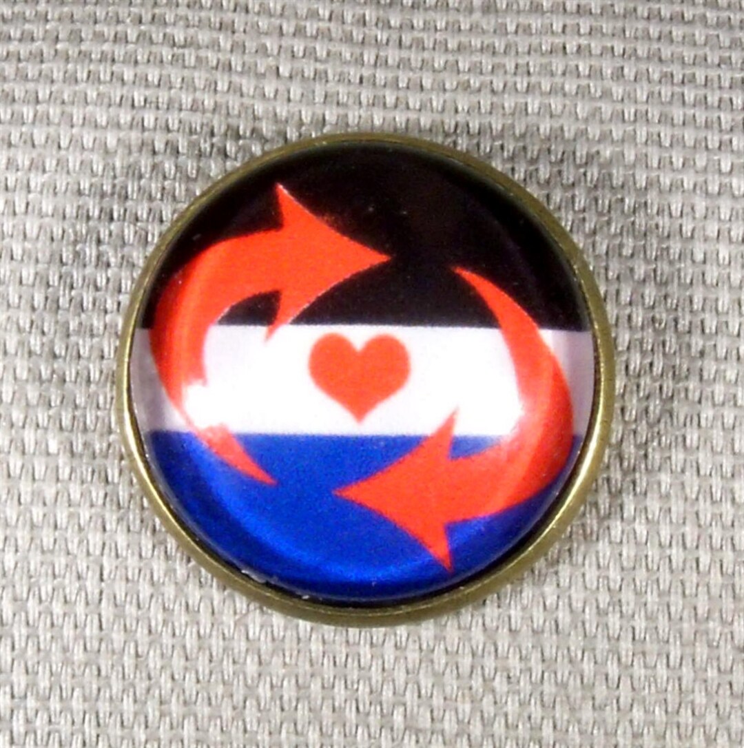 Switch Pride Pin - Etsy