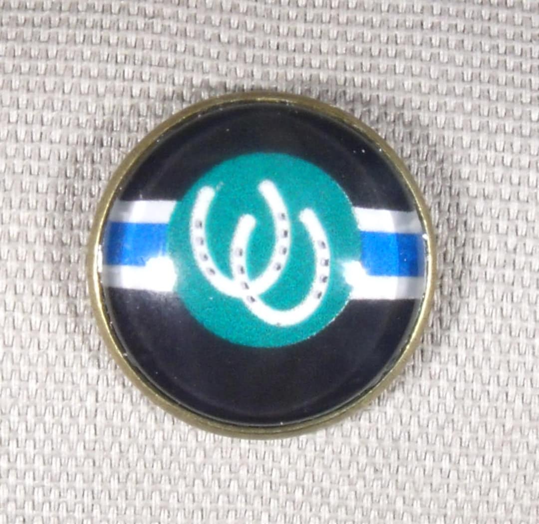 Pony Pride Pin - Etsy