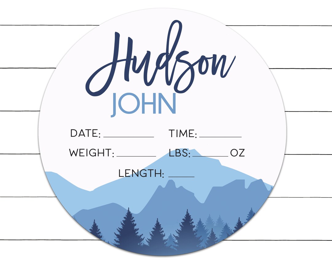 Baby Birth Stat Plaque | Personalized Birth Announcement Sign | Printed ...