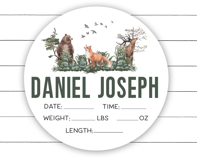 Baby Birth Stat Plaque | Personalized Birth Announcement Sign | Printed ...