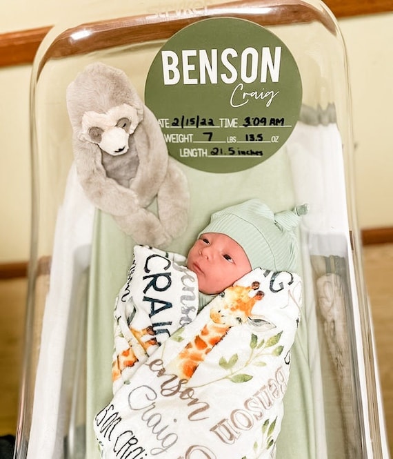 Baby Birth Stat Sign Personalized Birth Announcement Sign | Etsy