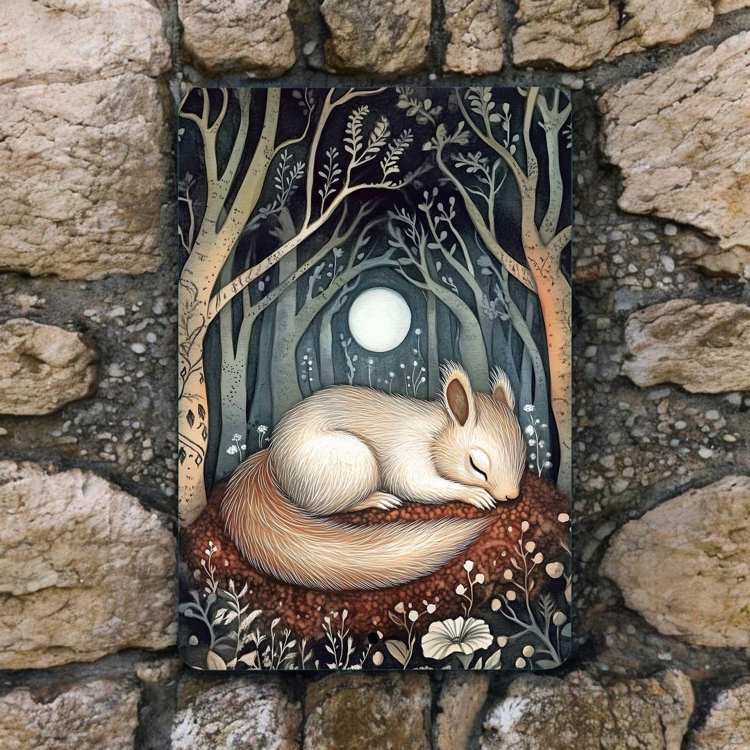 Sleeping Squirrel Aluminum Wall Sign - 8x12 Inches Rustic Woodlands ...