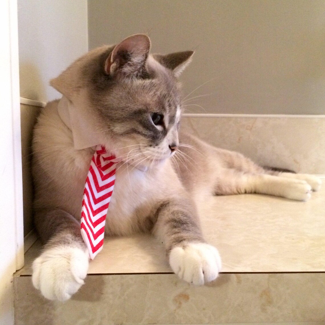 Red Chevron Skinny Cat Tie Cat Necktie Cat Necktie Collar - Etsy Canada