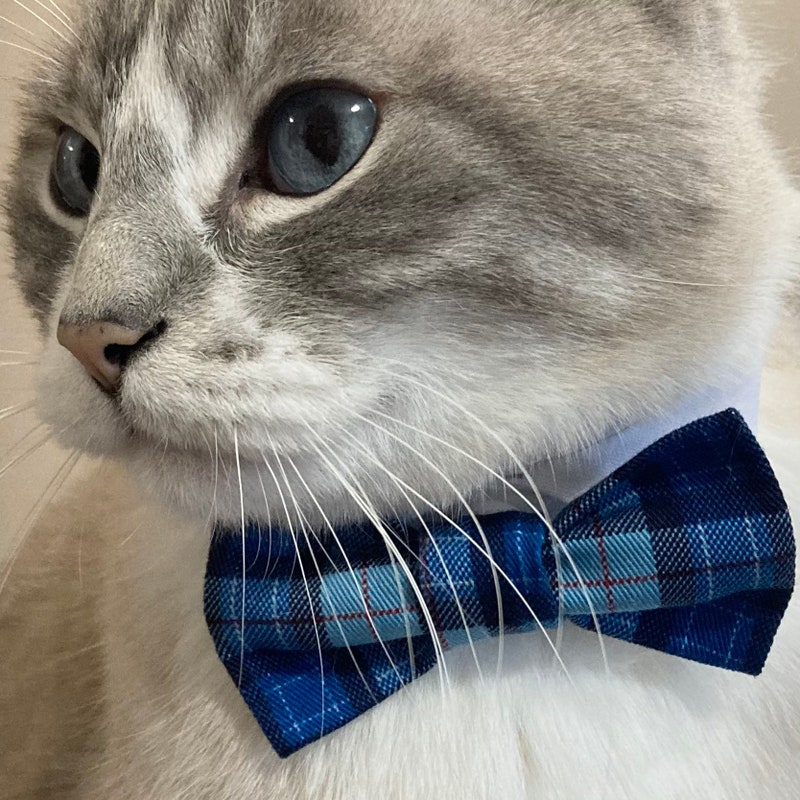 Cat Bow Tie - Etsy