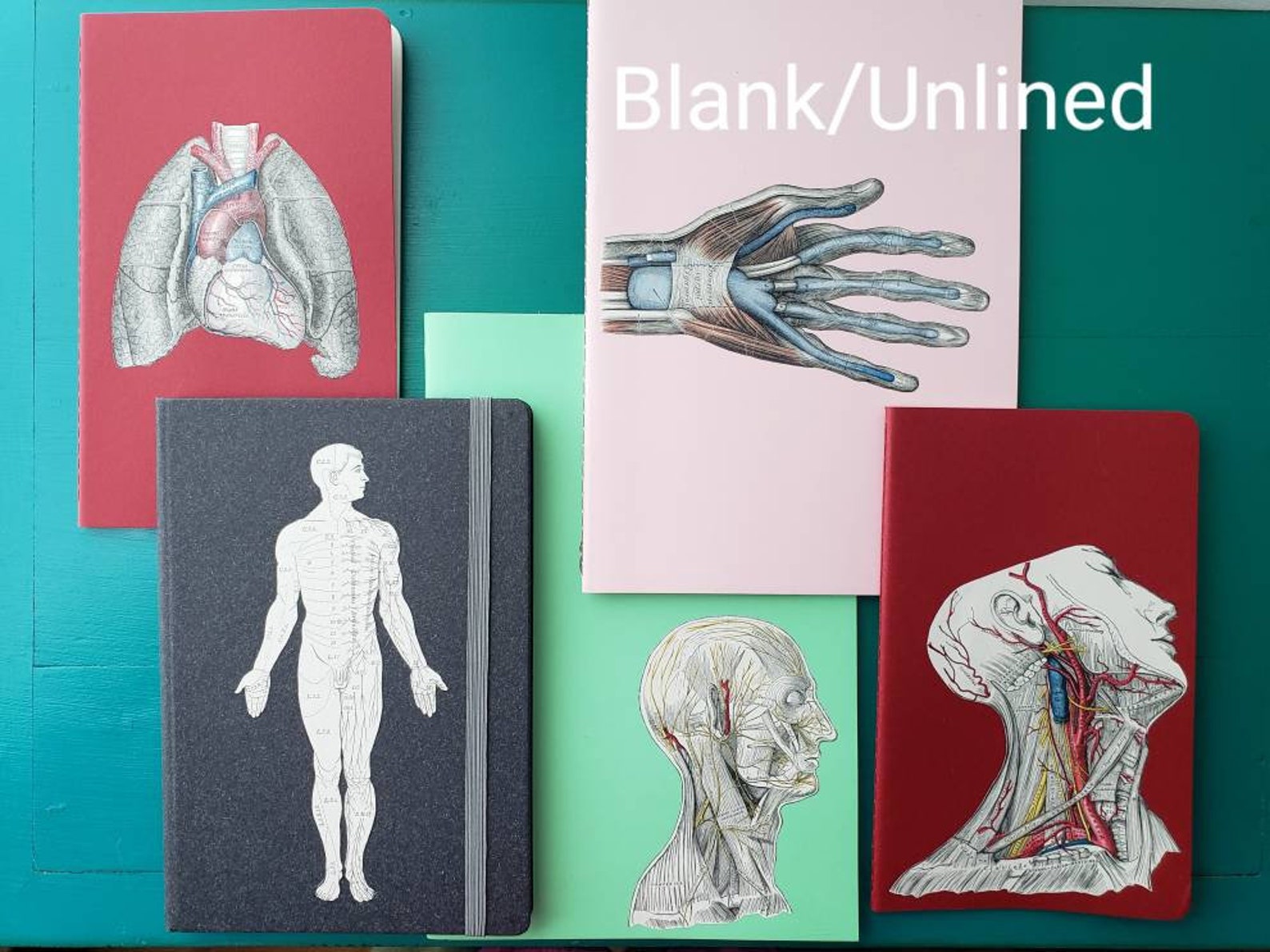 Anatomy Notebooks Unlined Vintage Illustration One-of-a-kind Cover ...